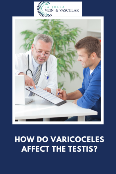 Vein & Vascular Treatment | Varicoceles